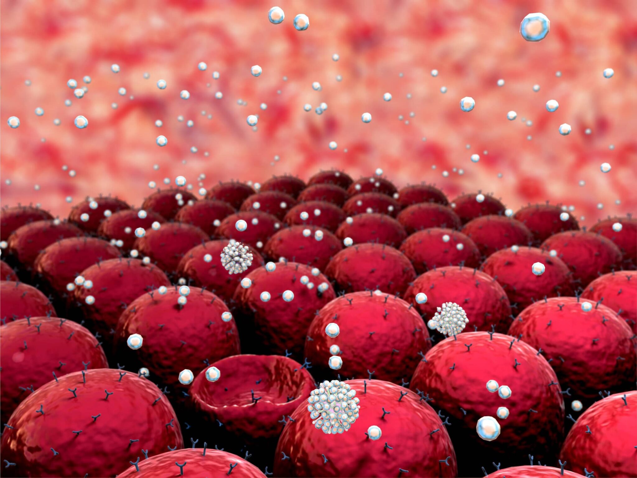 BLOODBORNE PATHOGENS COURSE - NETC Health